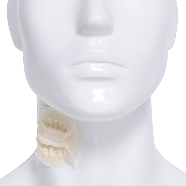 Rubber Wear Foam Latex Prosthetic Bite Mark #1 | Alcone Company