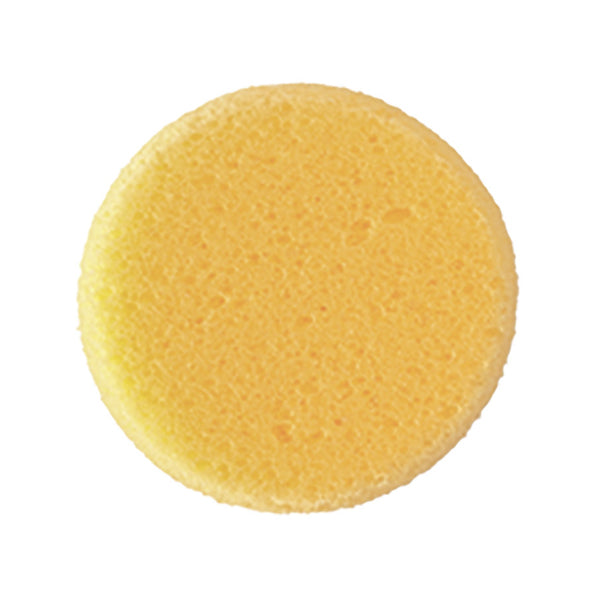 Ben Nye Hydra Sponge | Alcone Company