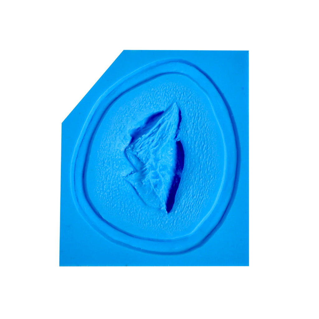 PTM Avulsion Molds Medium | Alcone Company