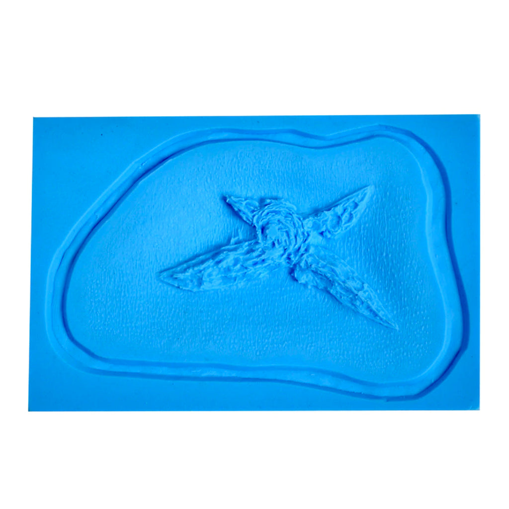 PTM Bullet Hole Molds Exit 4 Point Starfish | Alcone Company