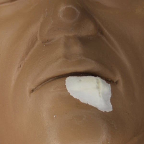 Rubber Wear Foam Latex Prosthetic Split/cut Lip | Alcone Company